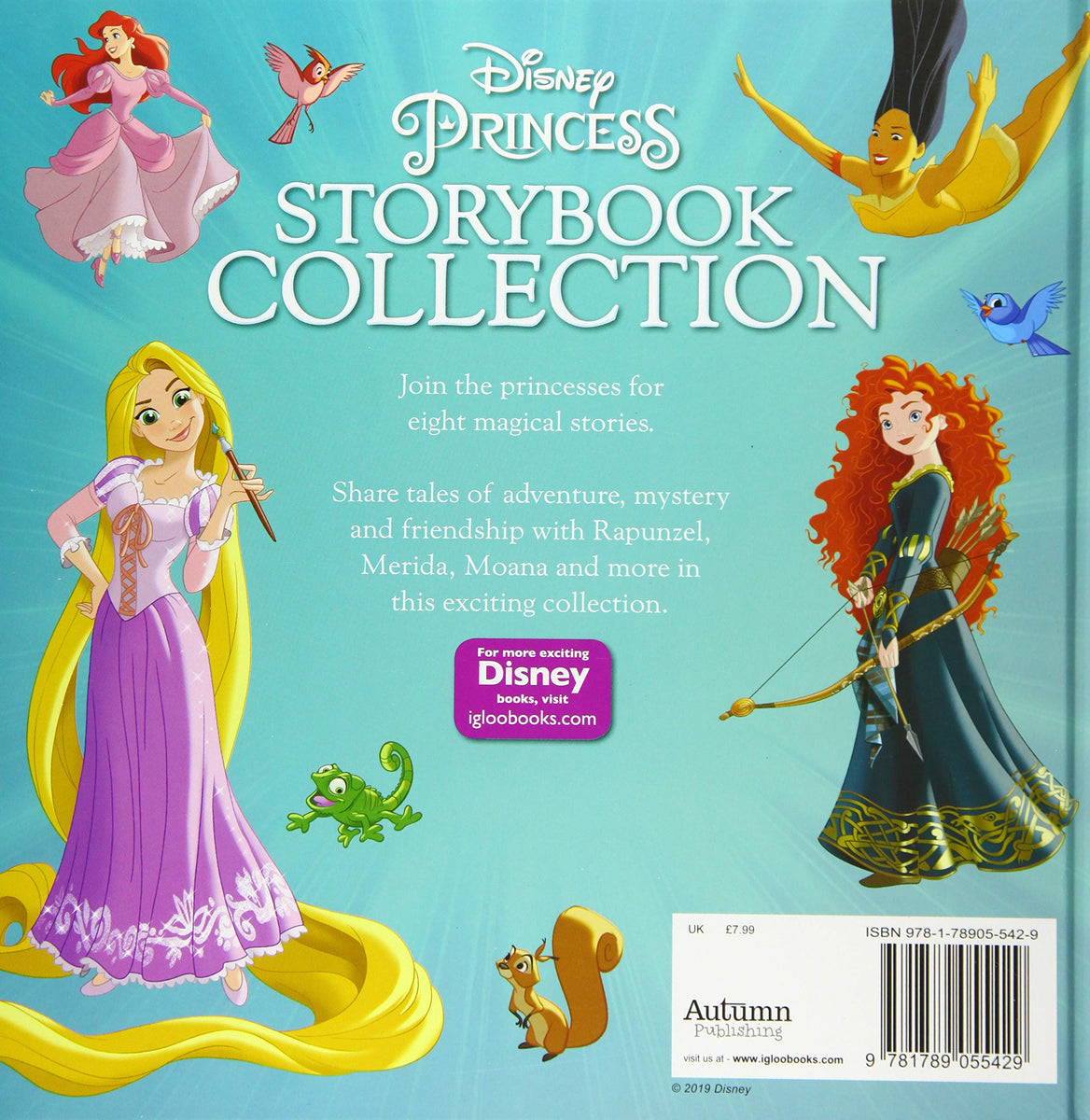 Disney Princess Storybook Collection – ToySanta